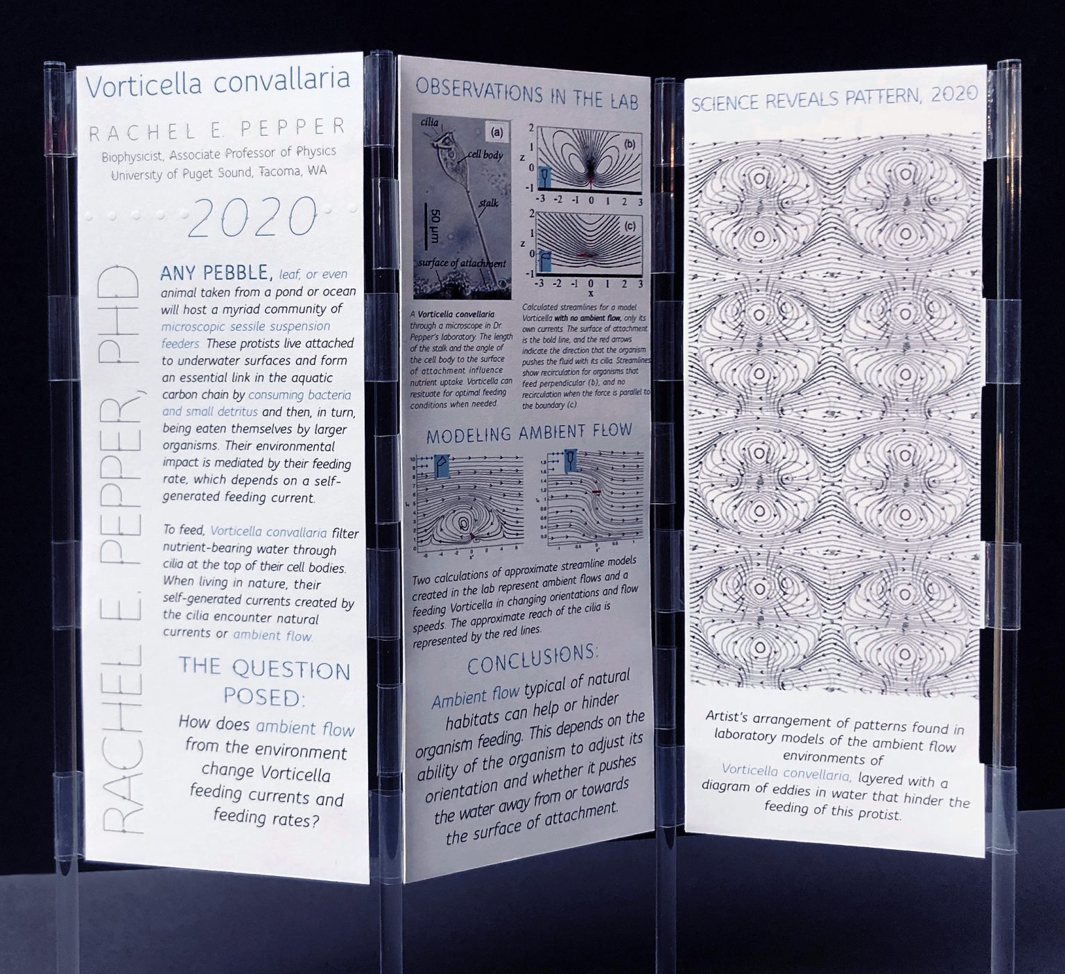 Water | Science Stories: A Collaboration of Book Artists and Scientists